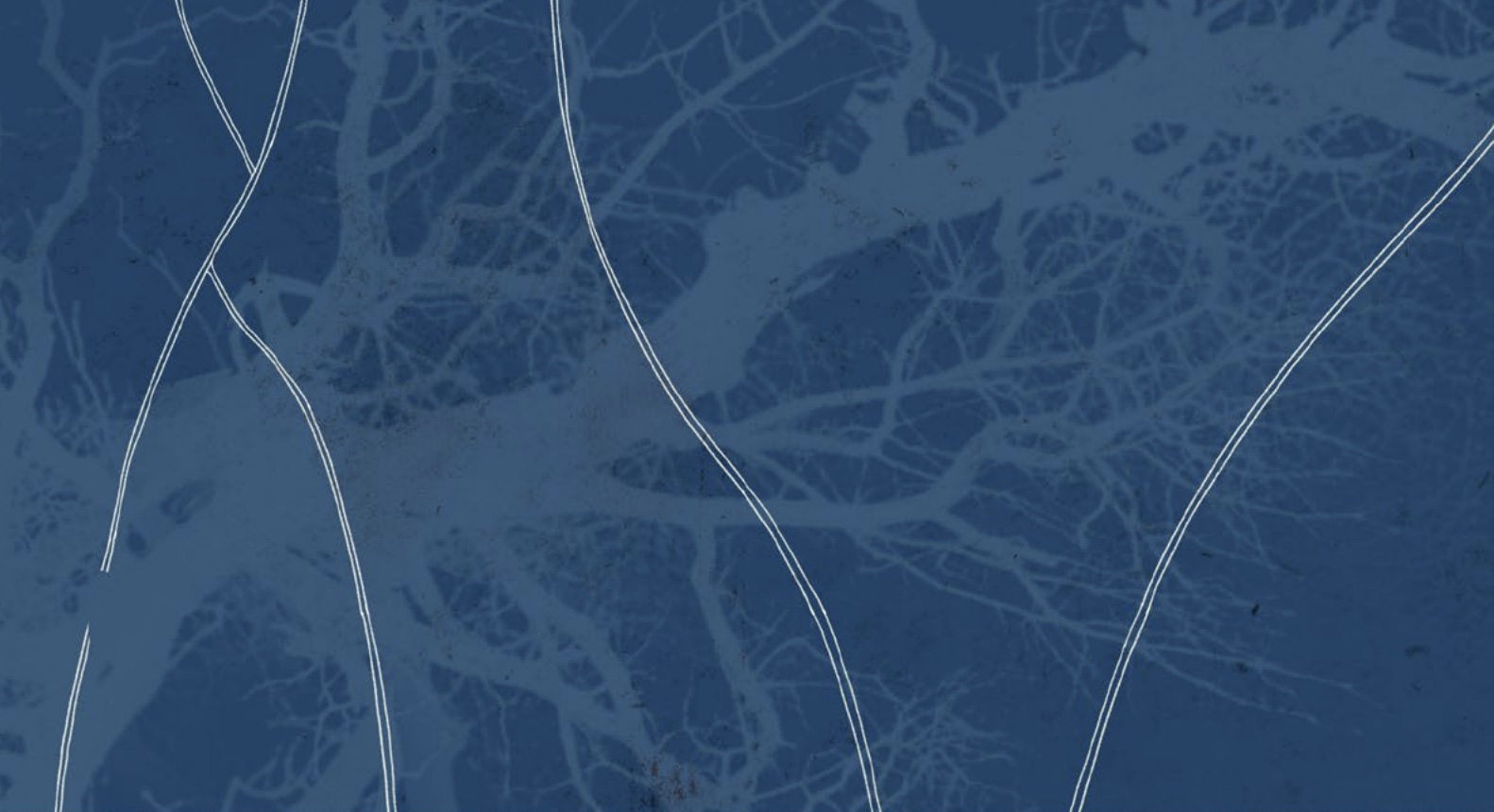 C4ADS & GRC Share New Update to Our 2023 Fractured Veins Investigation - C4ADS